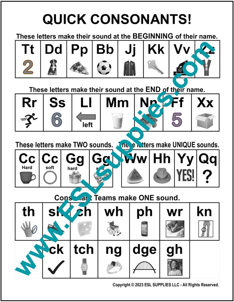 Quick Consonants ESL ELD English Language Classroom Poster Chart – ESL ...