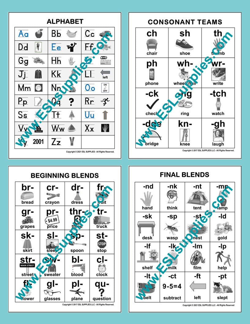 Basic Phonics Set- ESL ELD English Language Phonics Classroom Poster ...