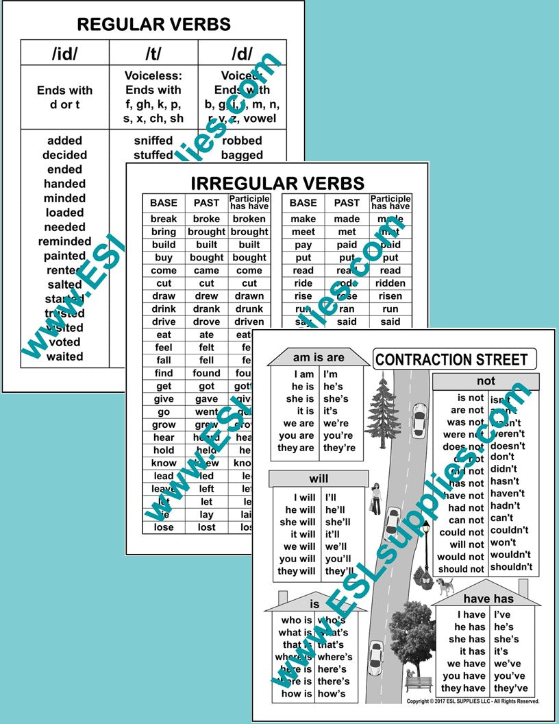 Contractions Regular Irregular Verbs-ESL ELD English Classroom Poster ...