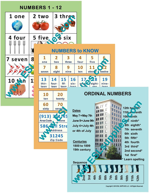 Life Skills ESL English Educational Classroom Posters Charts Adult K12 ...