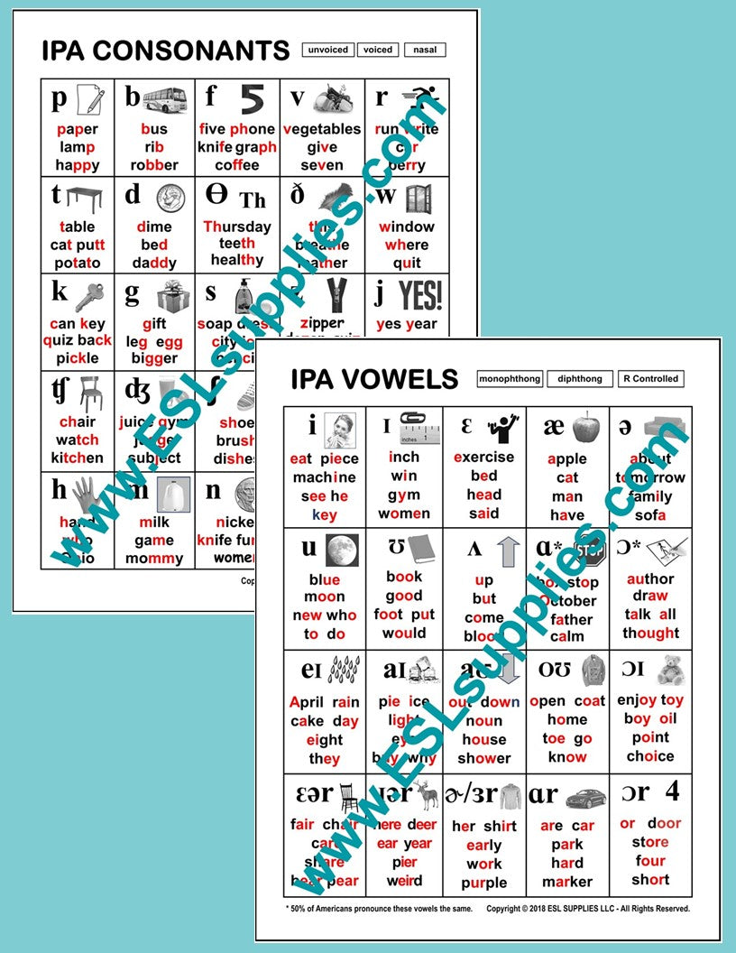 Vowels And Consonants Poster