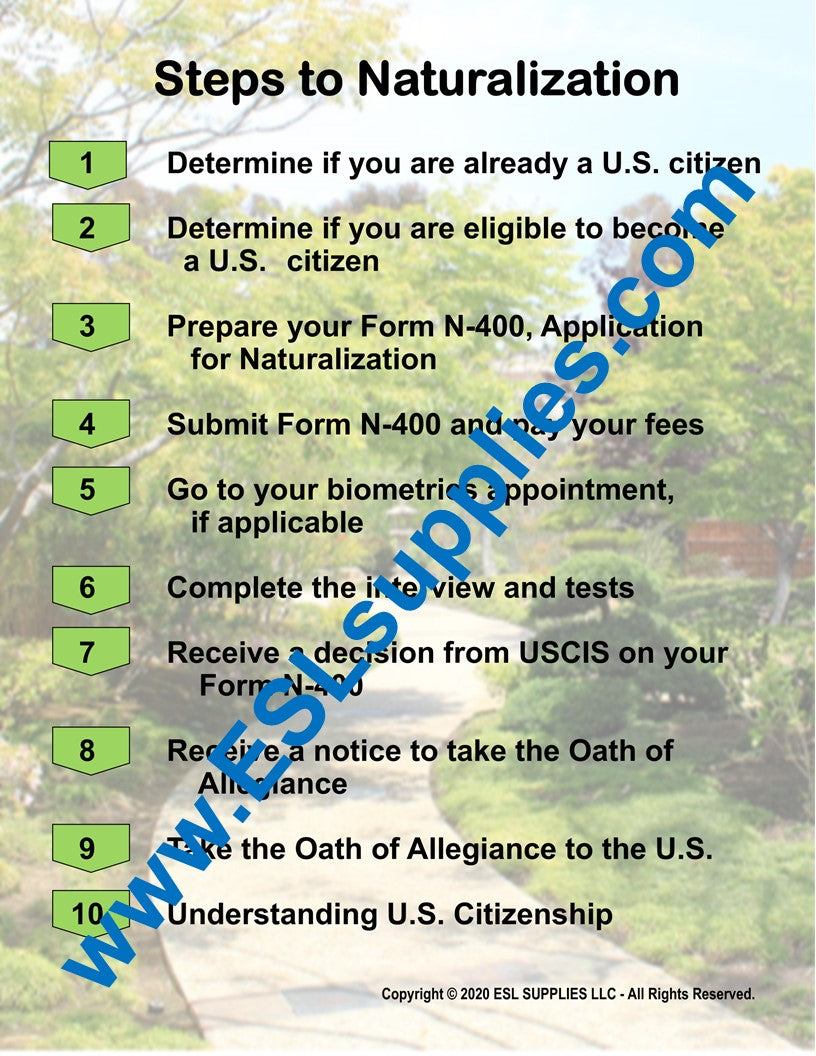 Steps to Naturalization-Citizenship Civics Educational Classroom Poster ...